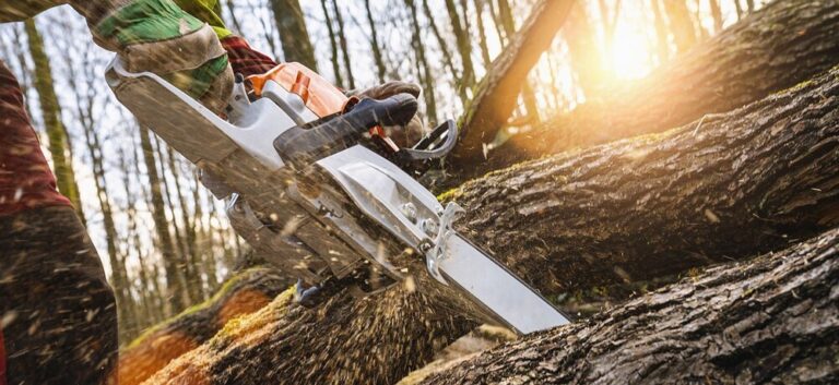 How To Stay Safe with a Chainsaw Sawmill – The Cut Side